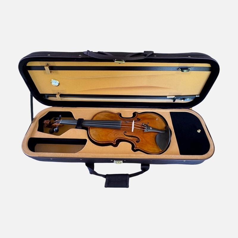4/4 Violin outfit including bow and case